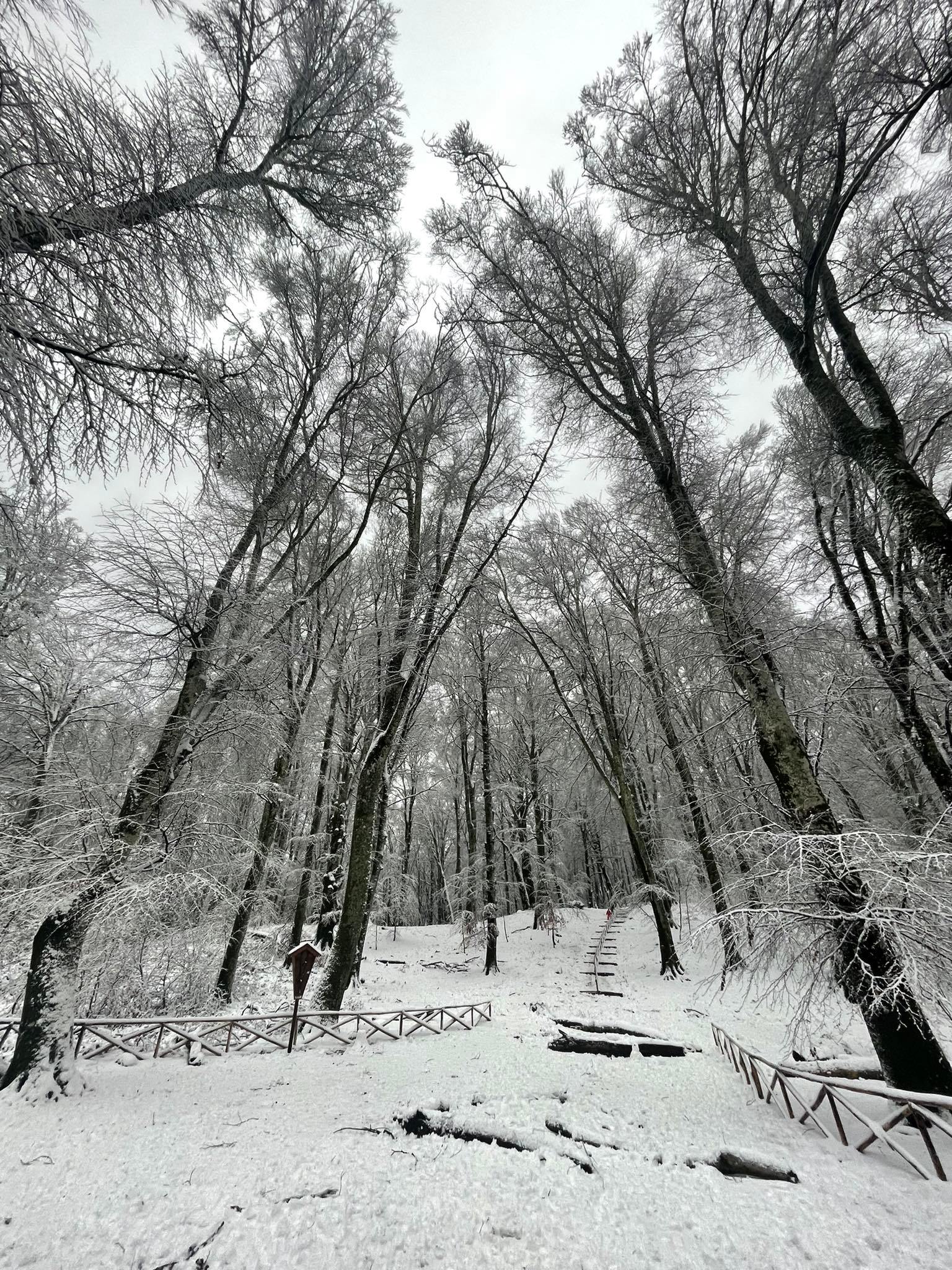 MONTI CIMINI ricoperti dalla NEVE dopo l'ultima irruzione fredda: tutto ...